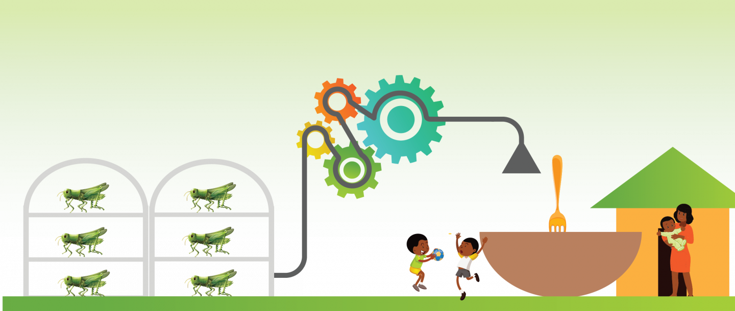 Insect-based agribusiness for sustainable food production in Kenya and ...